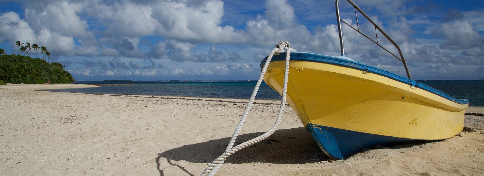 Championing Gender and Protection in Tonga's Humanitarian Action ...